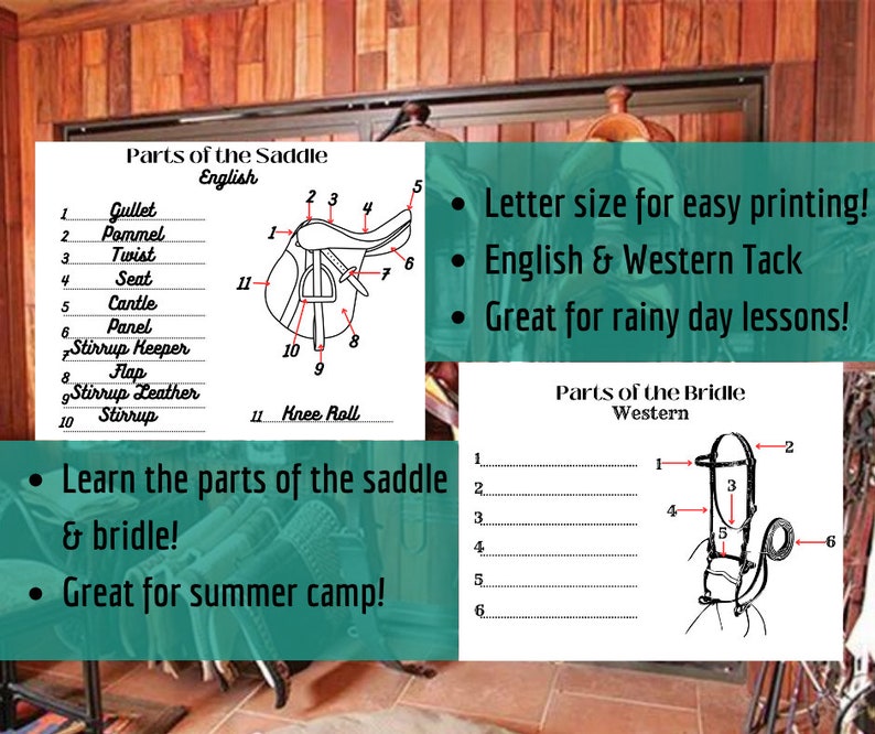 Horse Tack Worksheet | Tack Parts Diagrams Printable | Saddle & Bridle ...