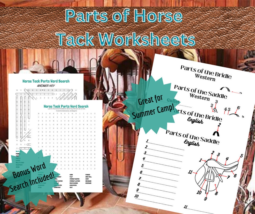 Horse Tack Worksheet | Tack Parts Diagrams Printable | Saddle & Bridle ...