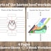 Parts of the Horse Hoof Worksheet | Horse Education | Horse Summer Camp ...