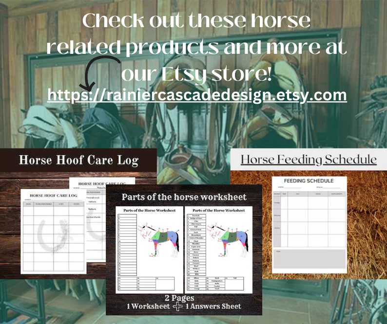 Horse Tack Worksheet | Tack Parts Diagrams Printable | Saddle & Bridle ...