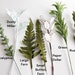 Paper Accents Paper Greenery Foliage, Spring Home Refresh, Paper ...