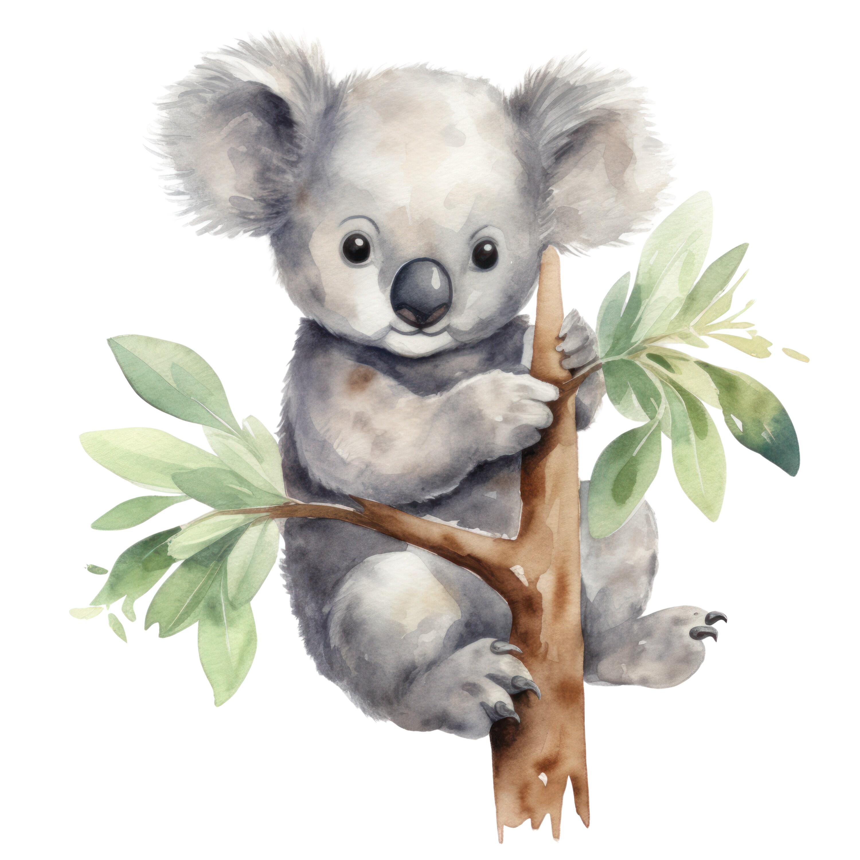 Cute Koalas Clipart, 5 High Quality Pngs, Nursery Art, Koala Prints ...