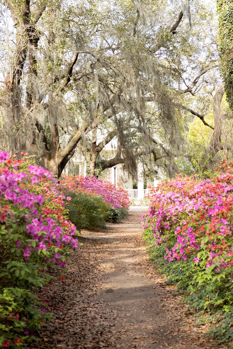 Spring in the Park - Etsy