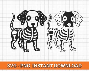 Dachshund Dog Skeleton SVG for Cricut, Pet Animal Skeleton Bones ...