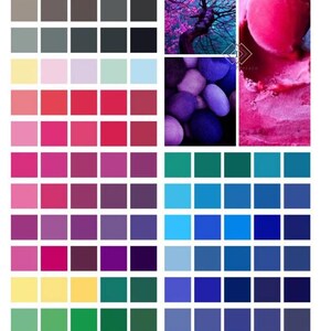 Winter Color Season Curated Thrifted Clothing Bundle - Etsy