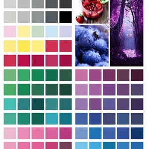Winter Color Season Curated Thrifted Clothing Bundle - Etsy
