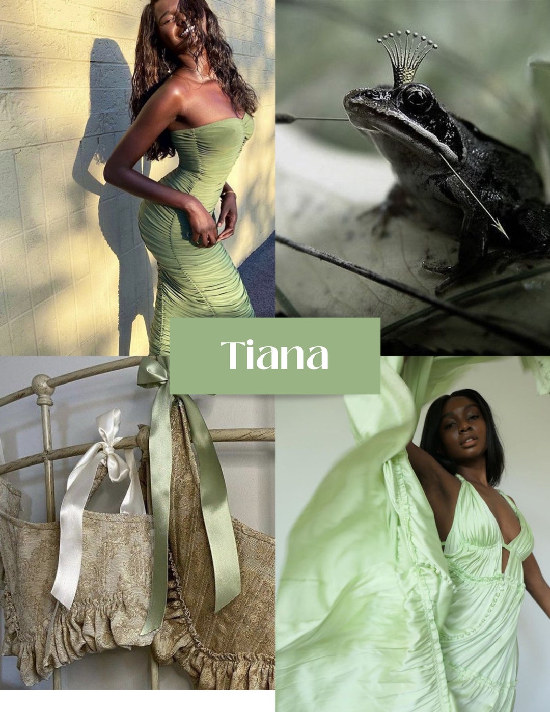 Tiana Inspired Mystery Clothing Bundle - Etsy