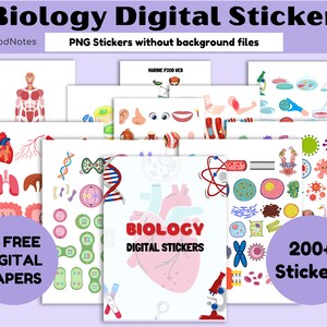 Biology & Anatomy Digital Stickers, Hand-drawn iPad Goodnotes, Pre ...