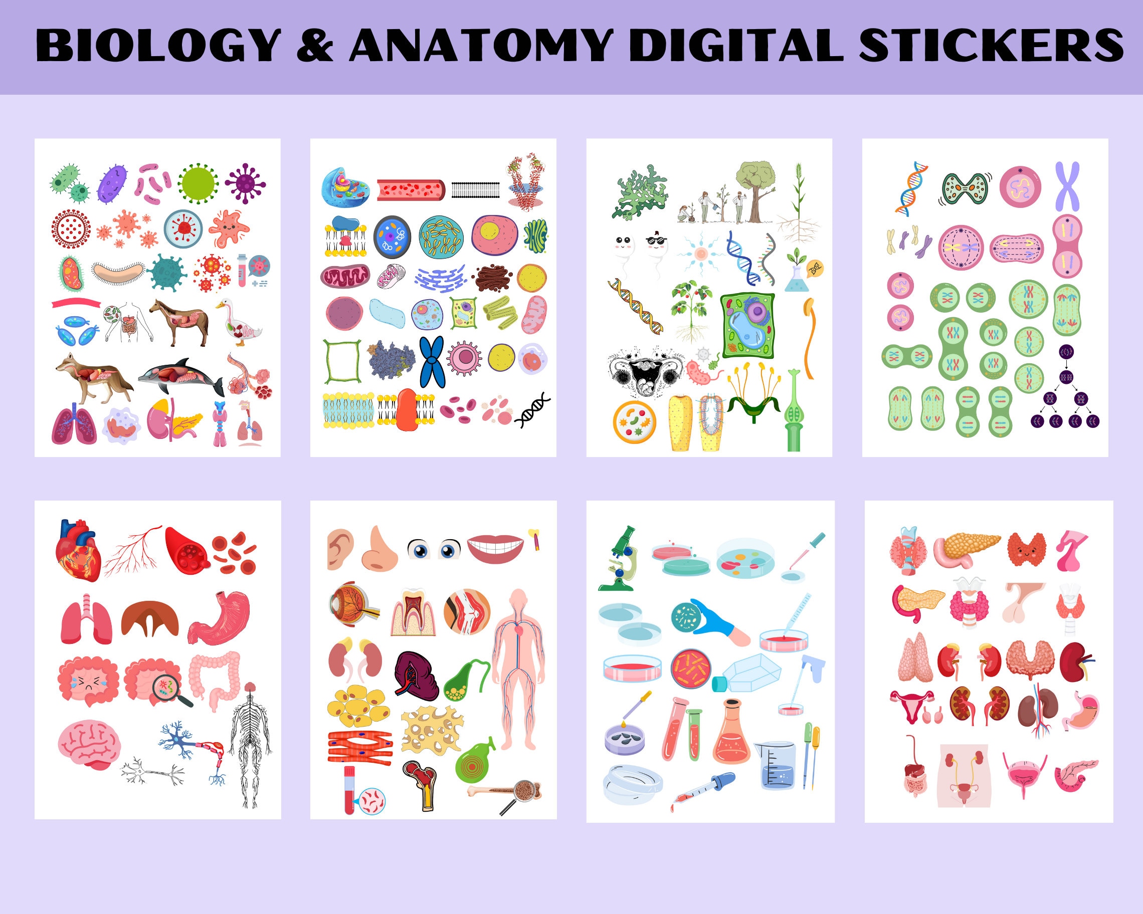 Biology & Anatomy Digital Stickers, Hand-drawn iPad Goodnotes, Pre ...