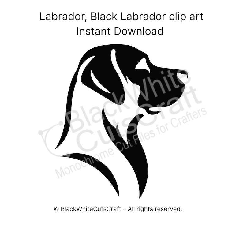 Labrador, Black Labrador Clip Art Design Instant Download Svg, Png, Eps ...