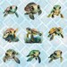 18 Pngs Watercolor Baby Turtle Clipart | Underwater Life | Sea ...