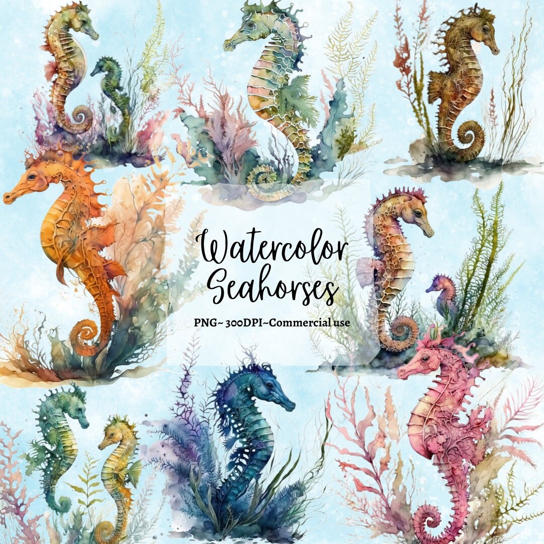 18 Pngs Watercolor Seahorses Clipart | Aquatic Animals | Underwater ...