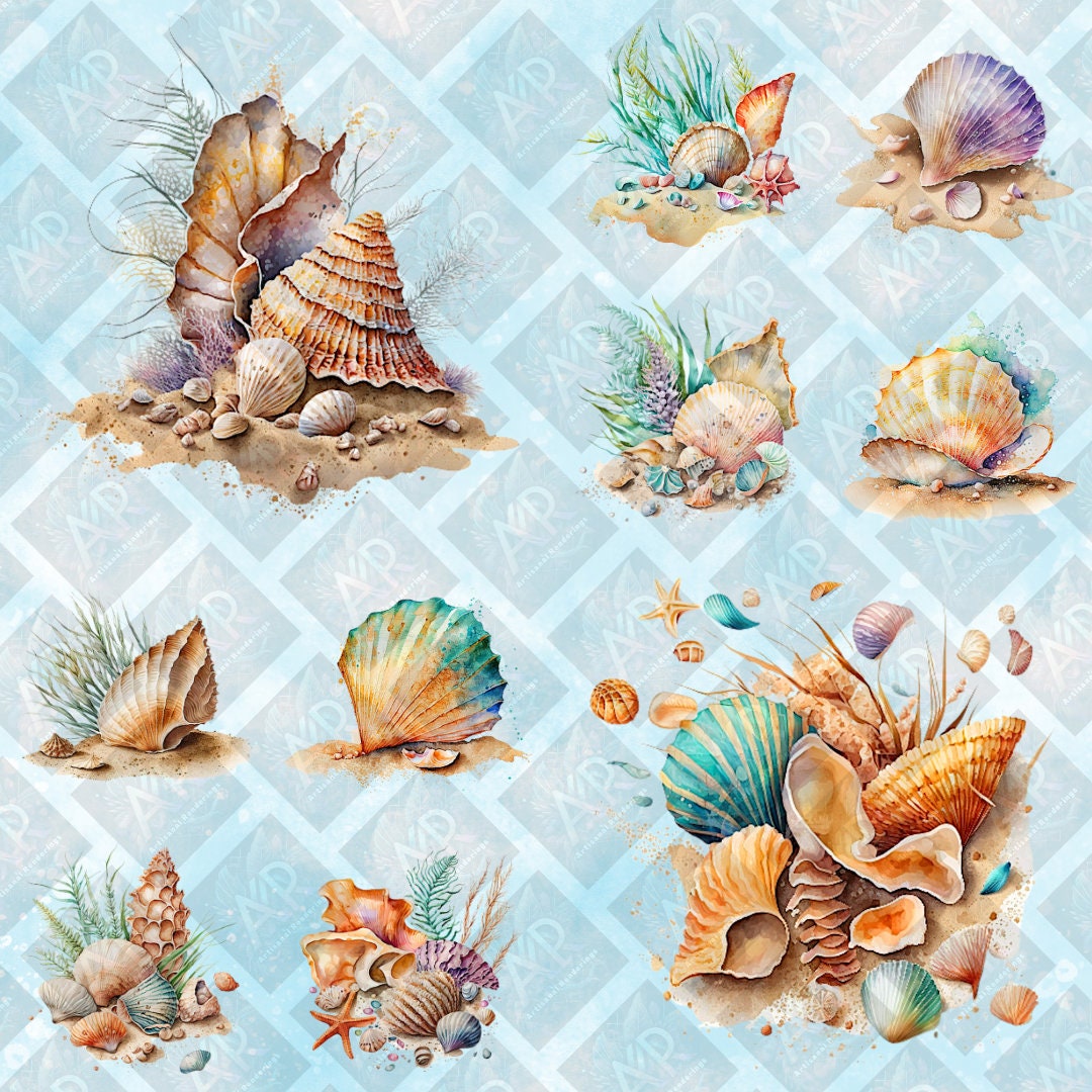 20 Pngs Watercolor Seashells Clipart | Sun & Sand | Beach Waters ...