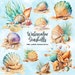 20 Pngs Watercolor Seashells Clipart Sun & Sand Beach Waters Seashell ...