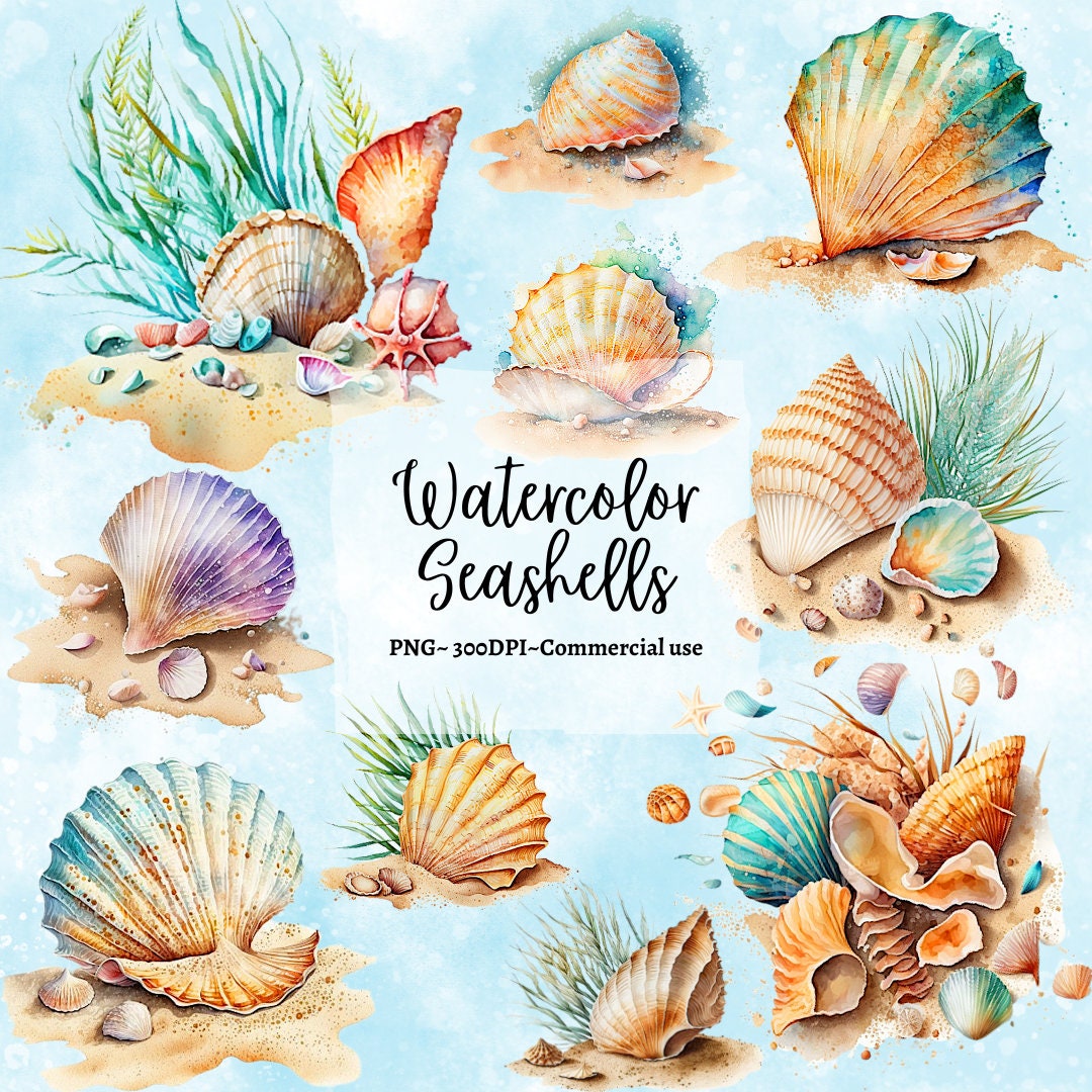20 Pngs Watercolor Seashells Clipart Sun & Sand Beach Waters Seashell ...