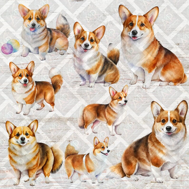 16 Pngs Watercolor Cute Corgi Dog Clipart | Corgi Puppies| Animated ...