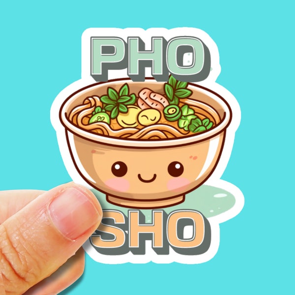 Pho Bowl - Etsy
