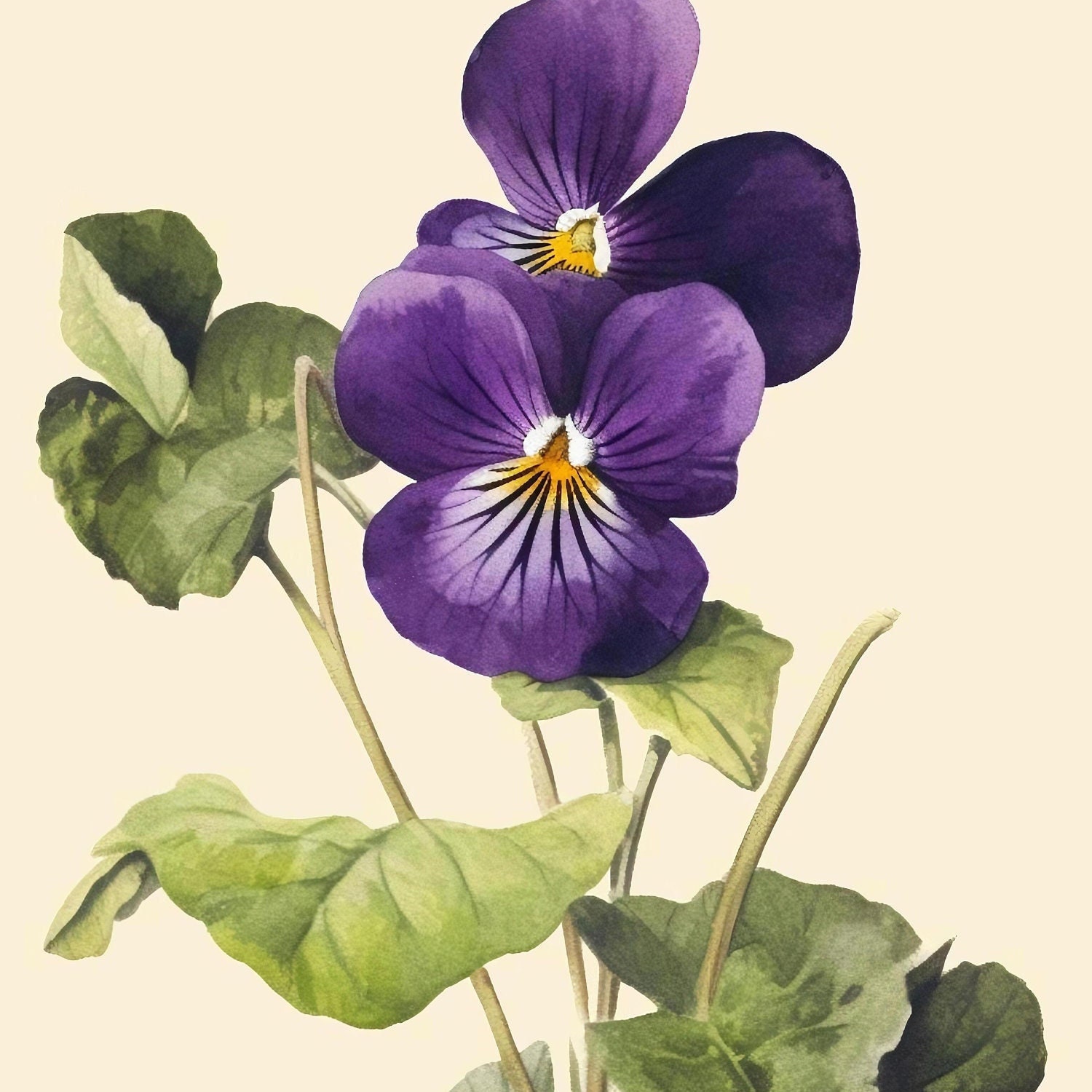 Naturalist Violet Print, Antique Flower Print, Muted Botanical Print ...