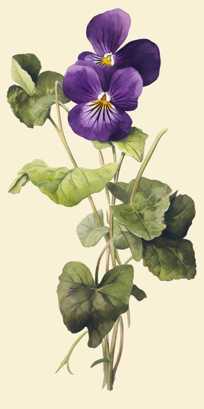 Naturalist Violet Print, Antique Flower Print, Muted Botanical Print ...