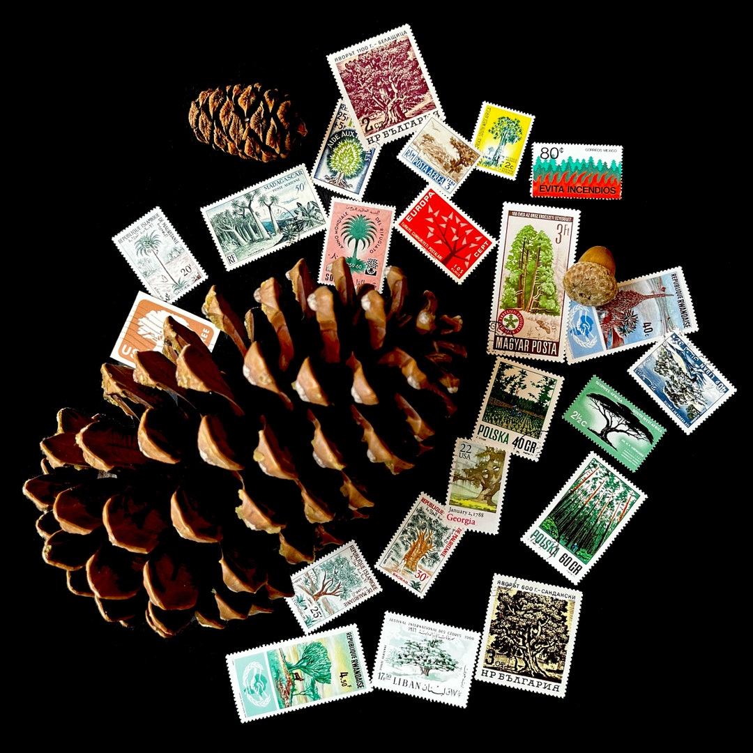 Tree Stamps Scrapbooking Art Projects Junk Journaling Ephemera ...