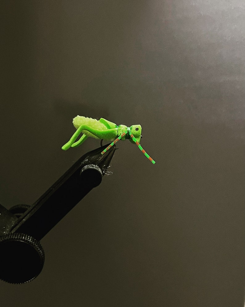 Fly Tying Grass Hopper Legs - Etsy