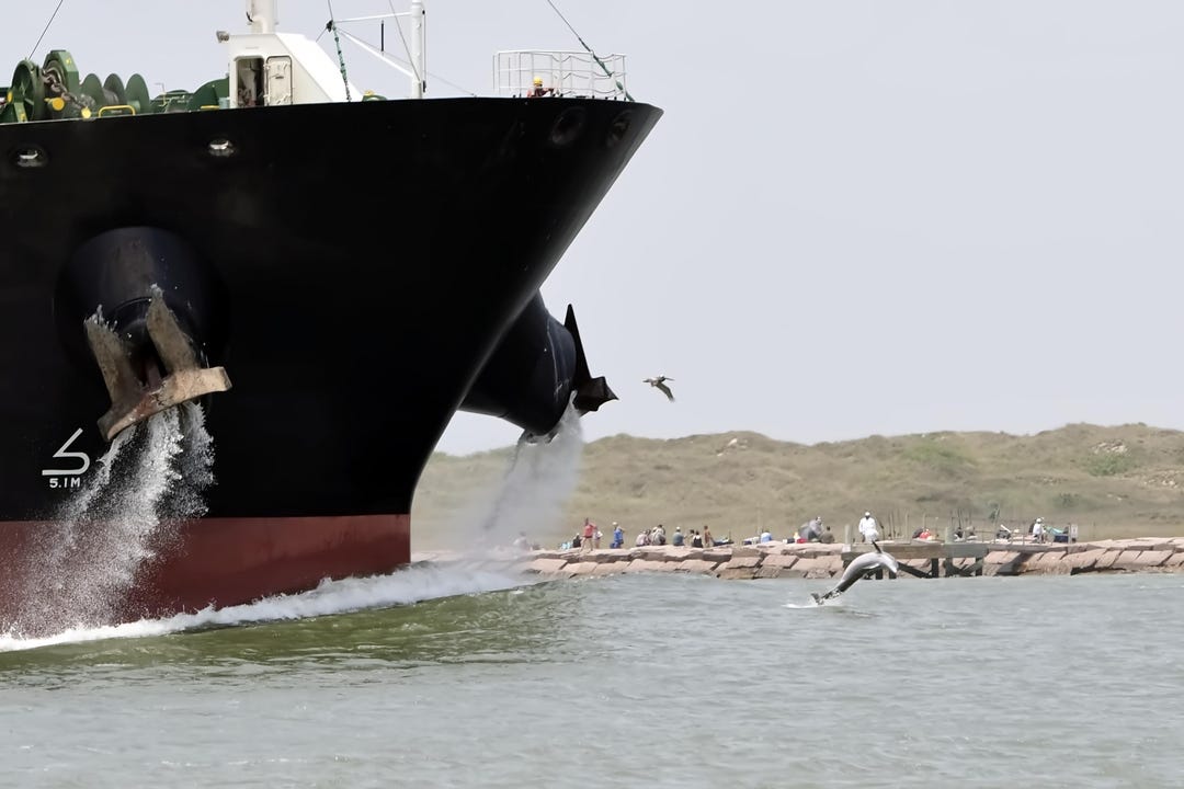 Dolphin Leaping Through Ship Bow Break - Coastal Digital Print - Etsy