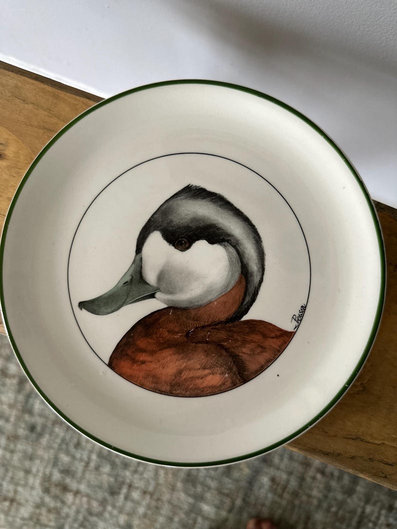 Set of 6 Antique Pierson Porcelain Duck Plates by Delano Studios - Etsy