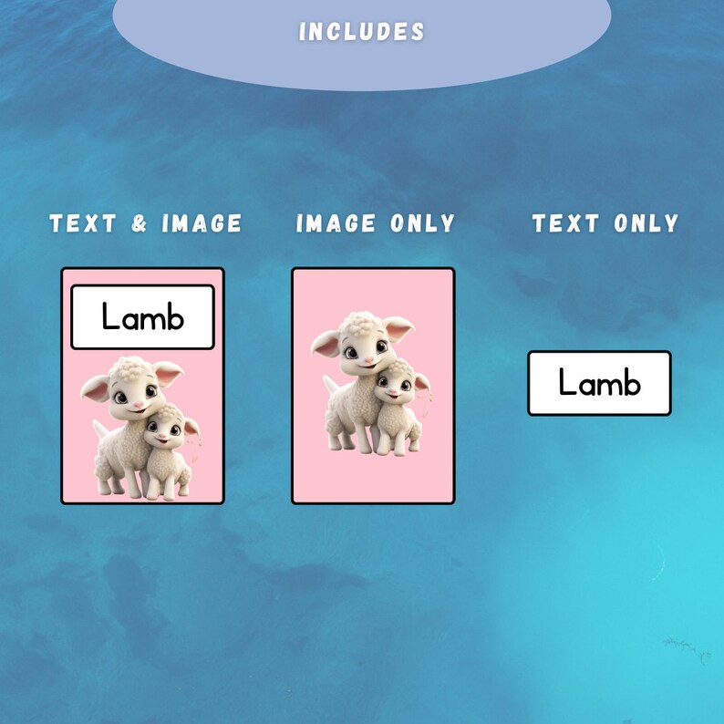 NOAH'S ARK ANIMAL Printable Flash Cards • 16 Animals • Flash Cards Pdf ...