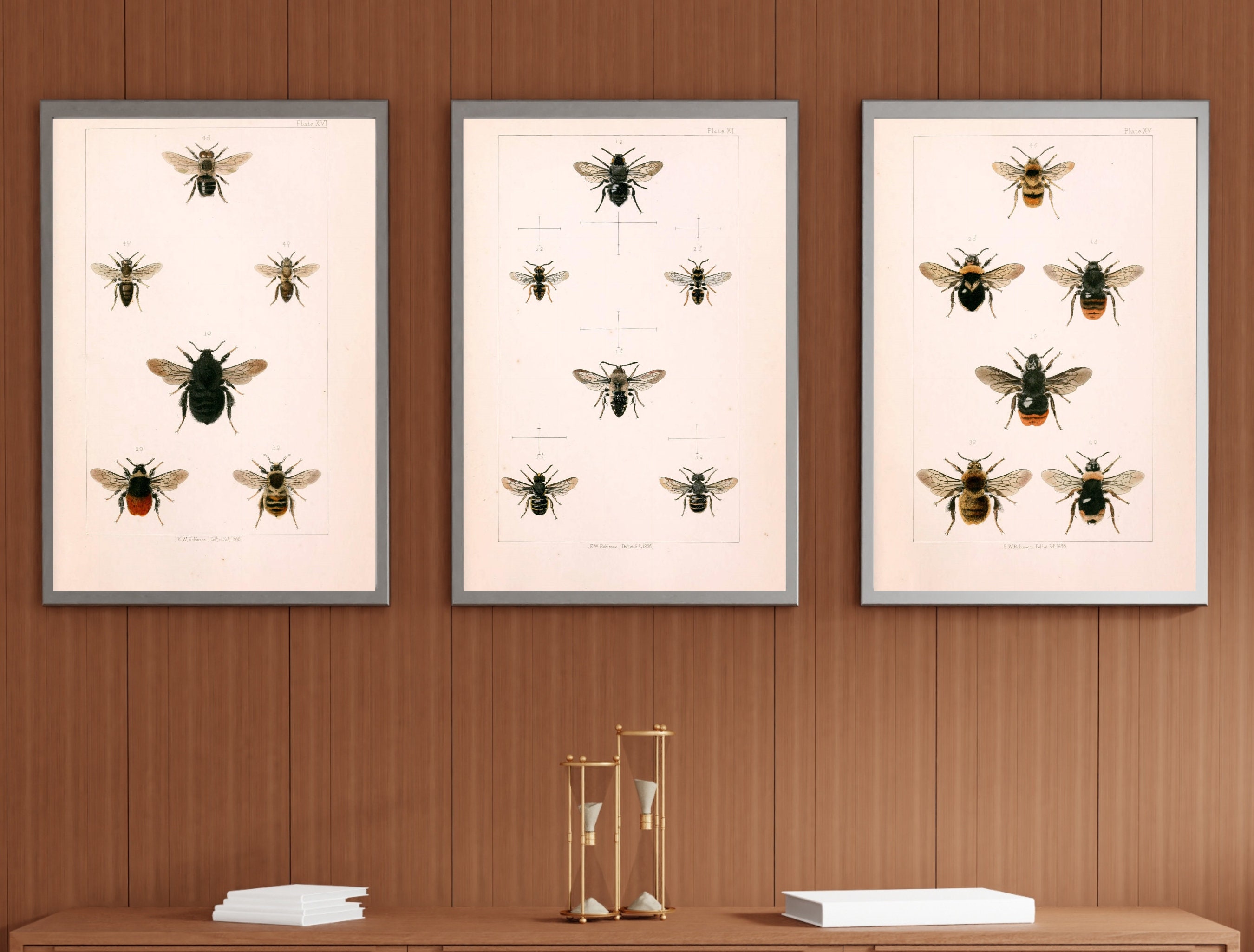 Vintage Bee Print Illustration Set | Antique Bees Wall Art | Dark Moody ...
