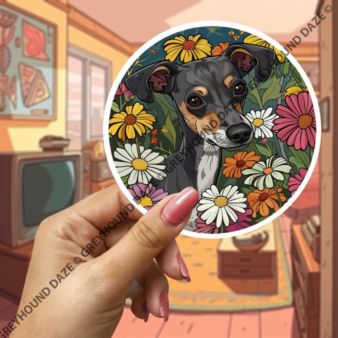 Cartoon Iggy Vinyl Decal Italian Greyhound Sticker - Etsy