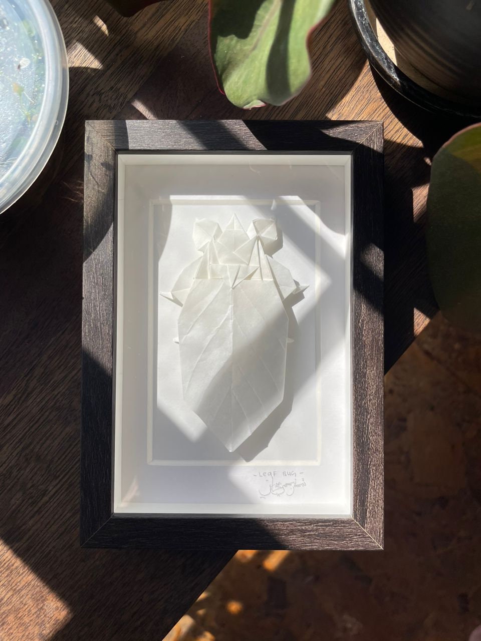 Origami Leaf Bug in Shadow Boxed Frame - Etsy