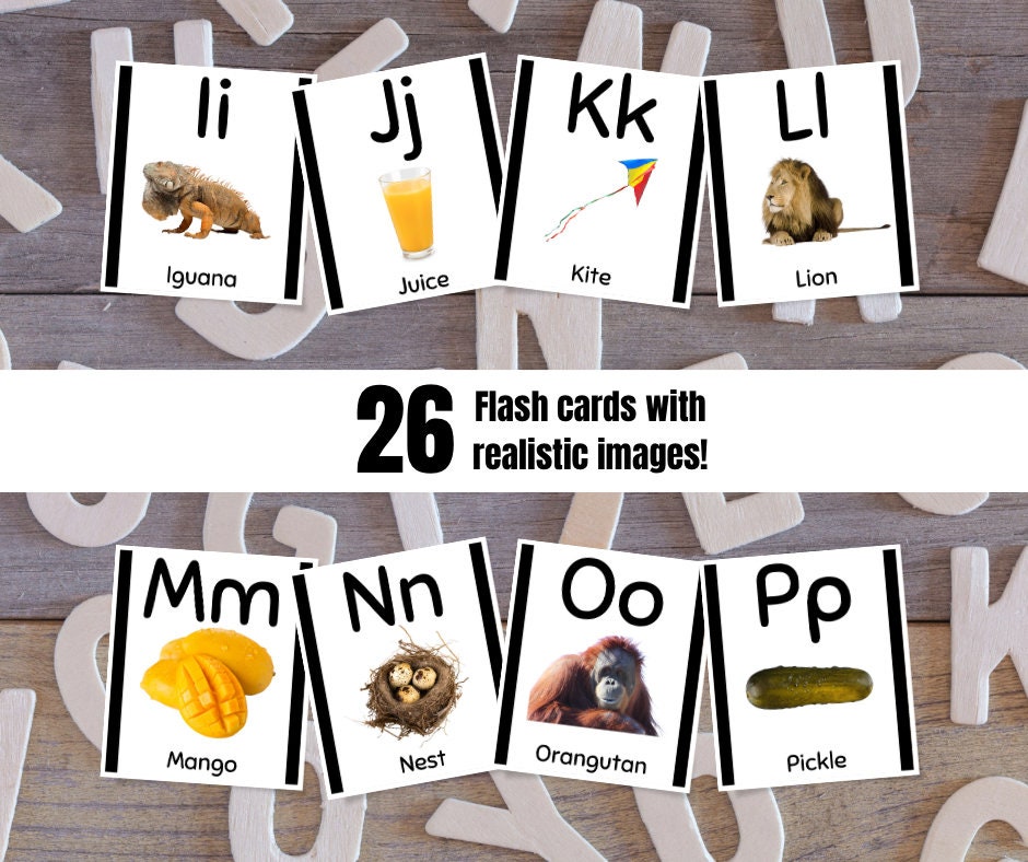 Alphabet Flash Cards With Realistic Images Learn the Abcs - Etsy