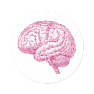 Pink Brain Sticker - Etsy
