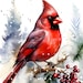 12 Cardinal Red Christmas Clipart Pack Christmas Bird JPG Digital ...