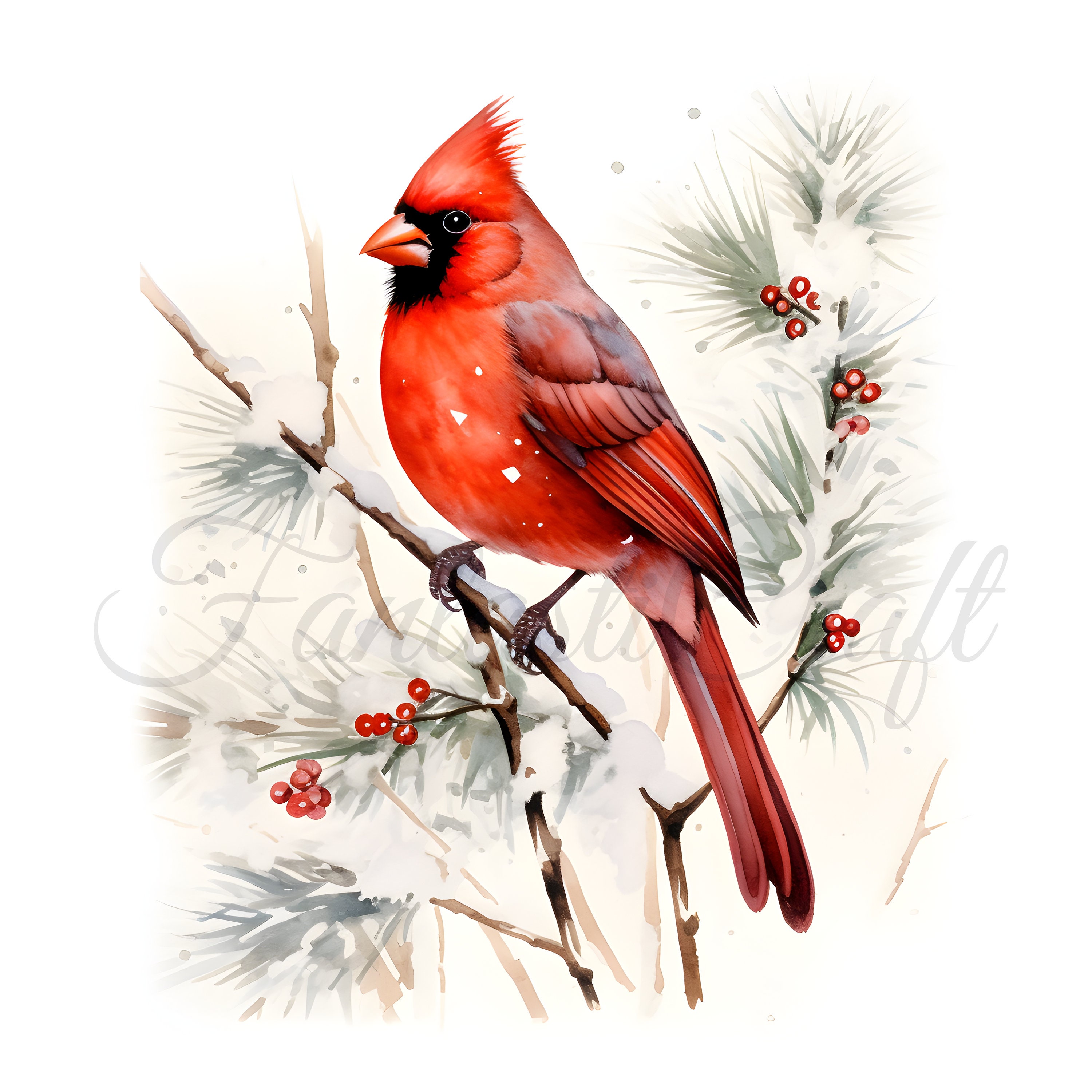 12 Cardinal Red Christmas Clipart Pack Christmas Bird JPG Digital ...