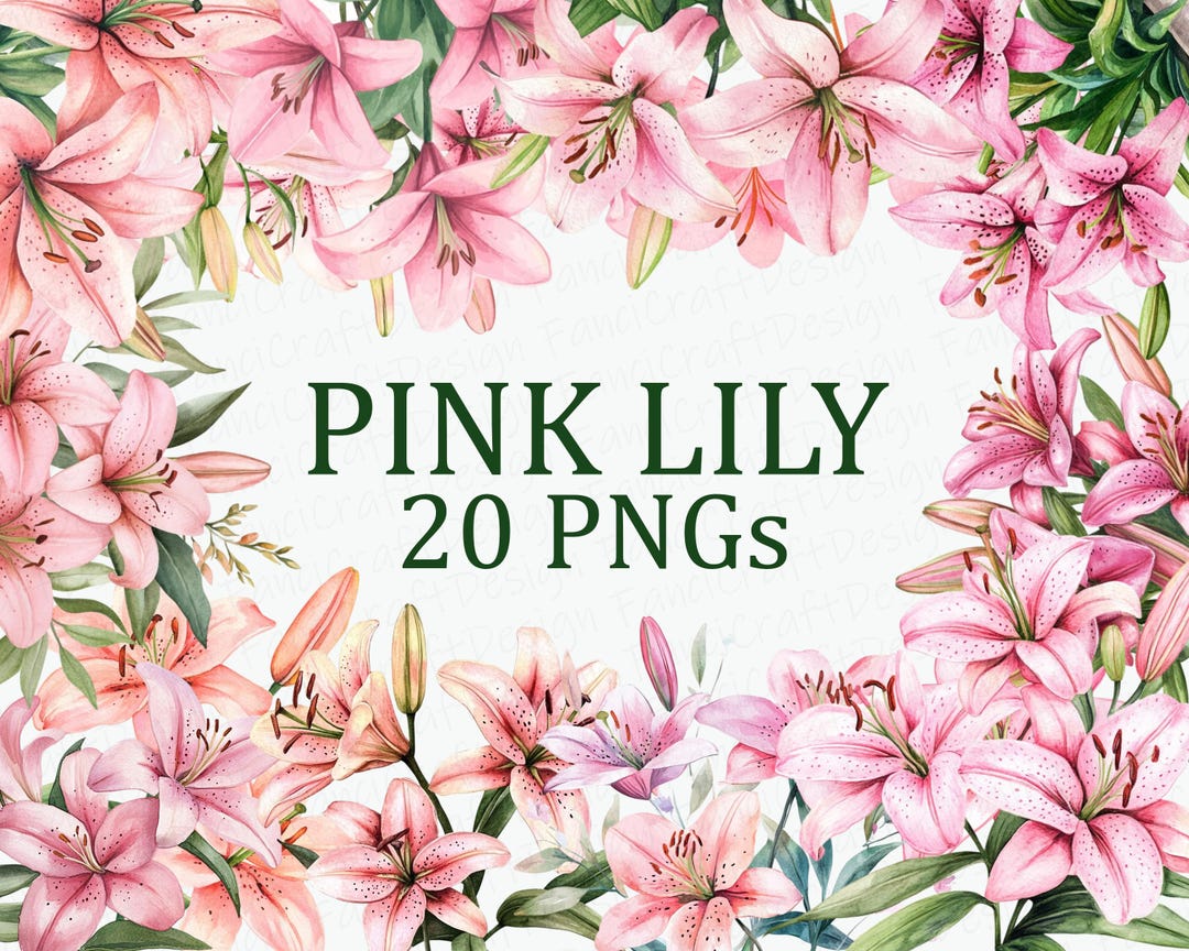 Pink Lily Flower 20 Floral Clipart Pack Watercolor Pink Lily Clipart ...