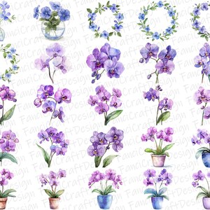 Purple Flowers 175 Floral Clipart Pack Watercolor Printable PNG Digital ...