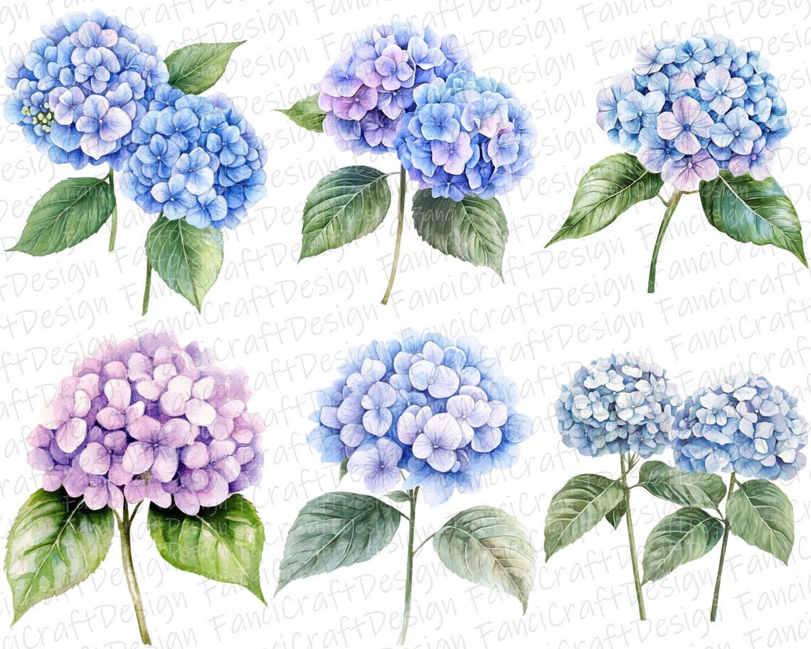 Hydrangea Purple Flowers 30 Floral Clipart Pack Watercolor Printable ...