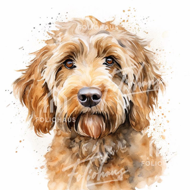 16 Australian Labradoodle Dog Watercolor Clipart Printable Transparent ...
