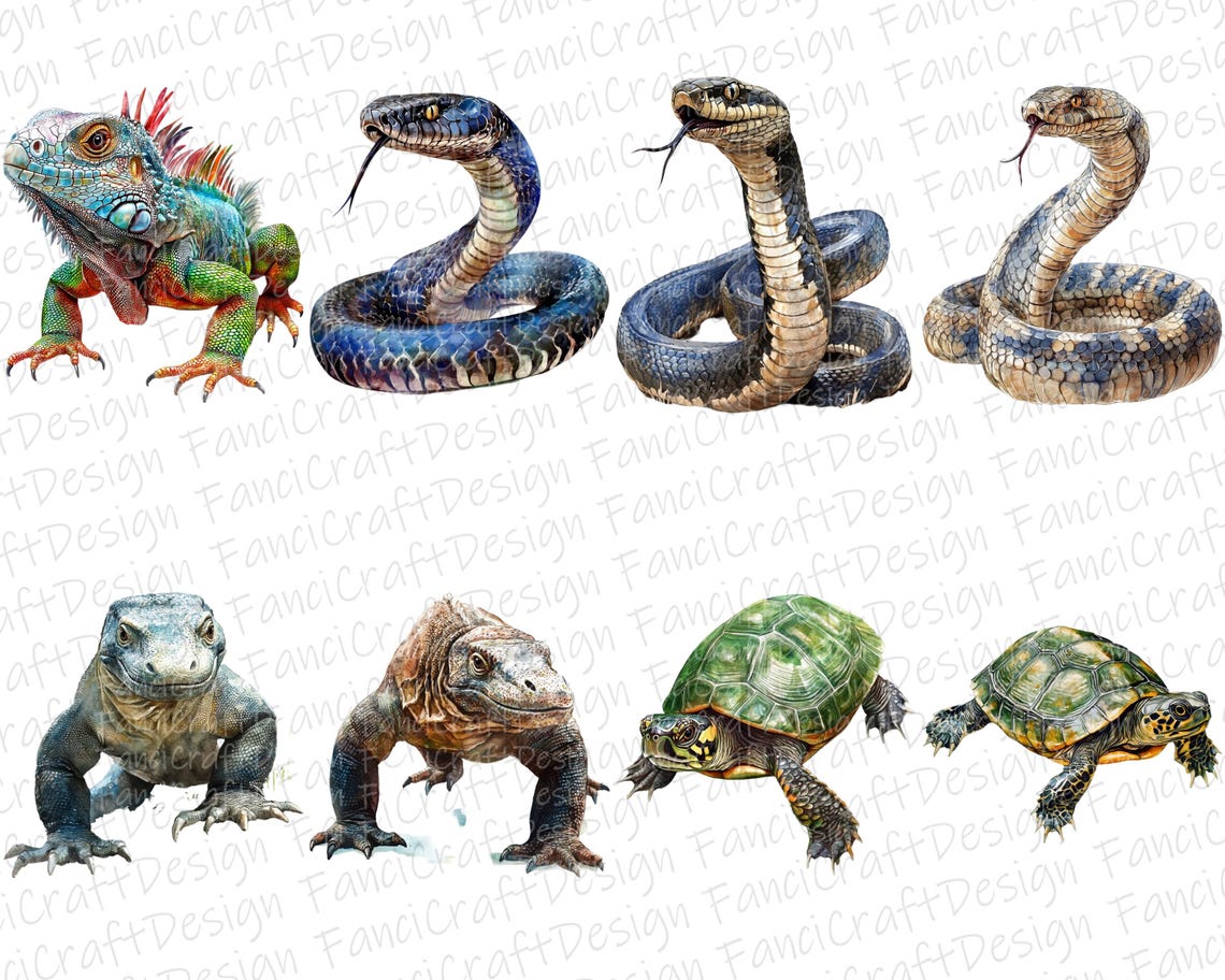 Reptile Turtle Alligator Lizard Snake 40 Animal Watercolor Clipart ...