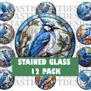 12 Stained Glass Blue Jay Bird Pack Transparent Circle PNG Digital ...