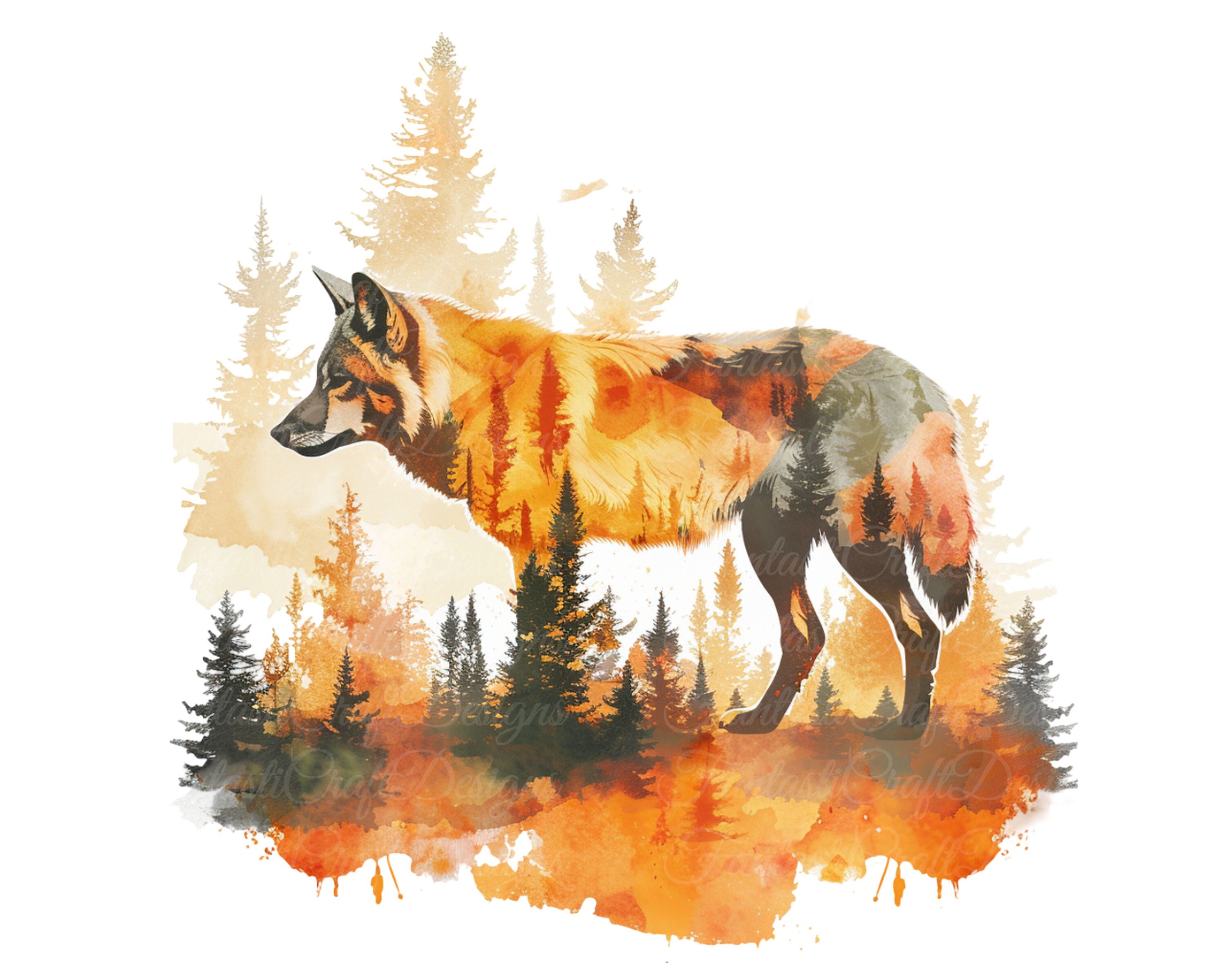 Wolf Orange 12 Pack #2 Forest Animal Watercolor Moon Clipart Wolves PNG ...