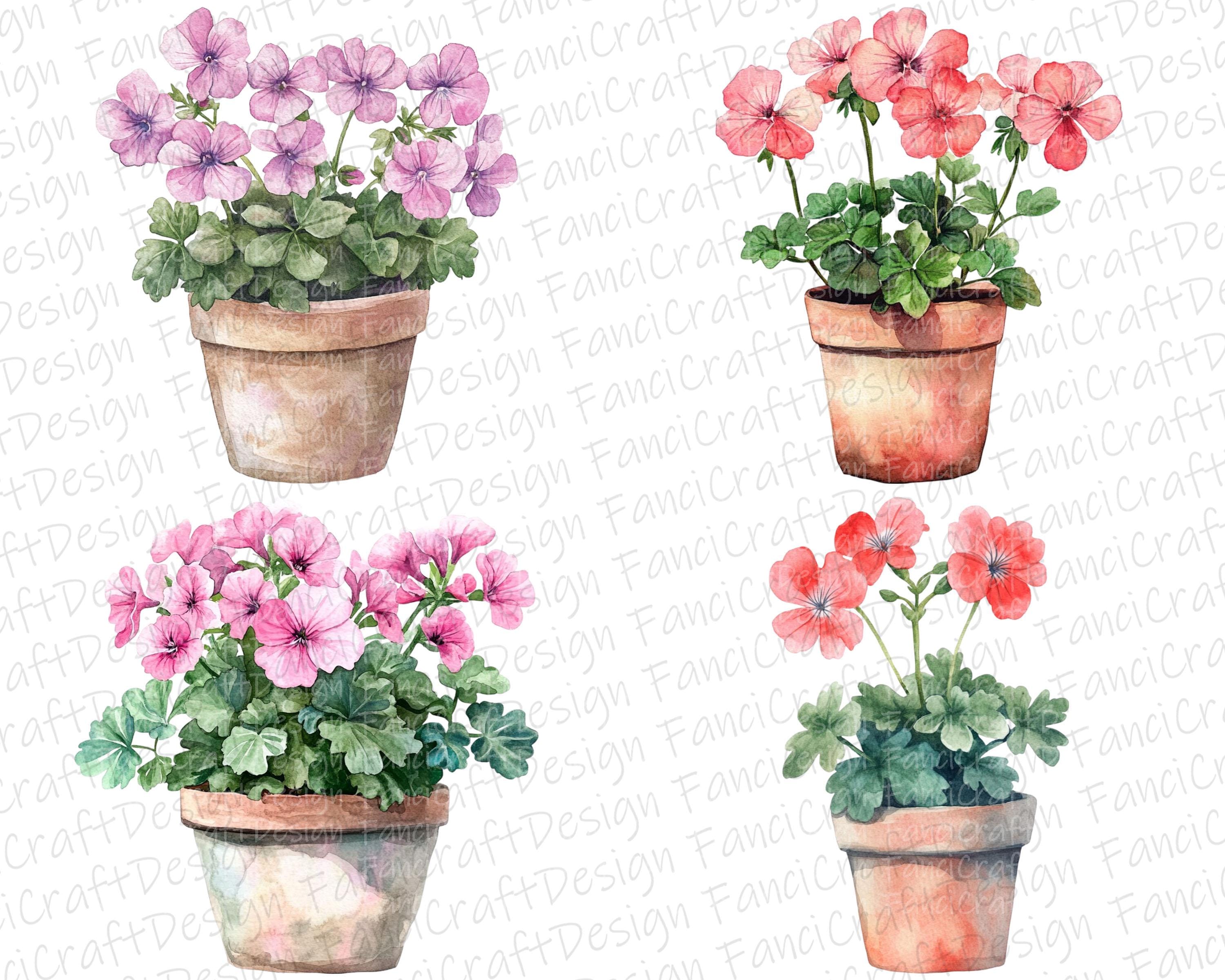 Geranium Flower 24 Floral Clipart Pack Watercolor Geranium Flower ...