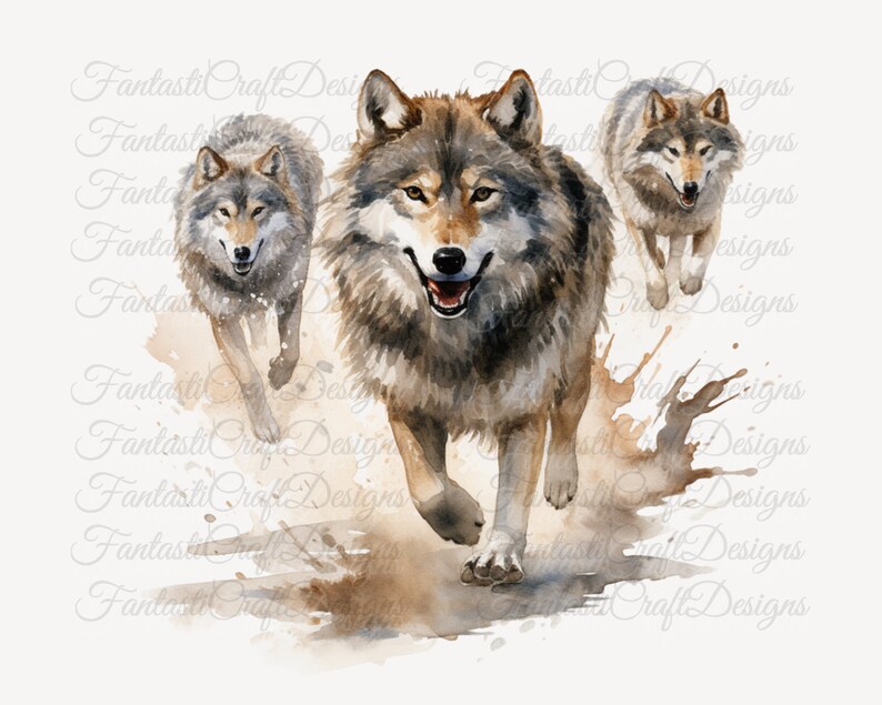 Wolf Running Hungry Animal Watercolor Clipart Wolves 12 Pack Art PNG ...