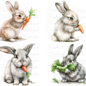 12 Cute Easter Bunny Animal Watercolor Clipart Fluffy Rabbit Pack PNG ...
