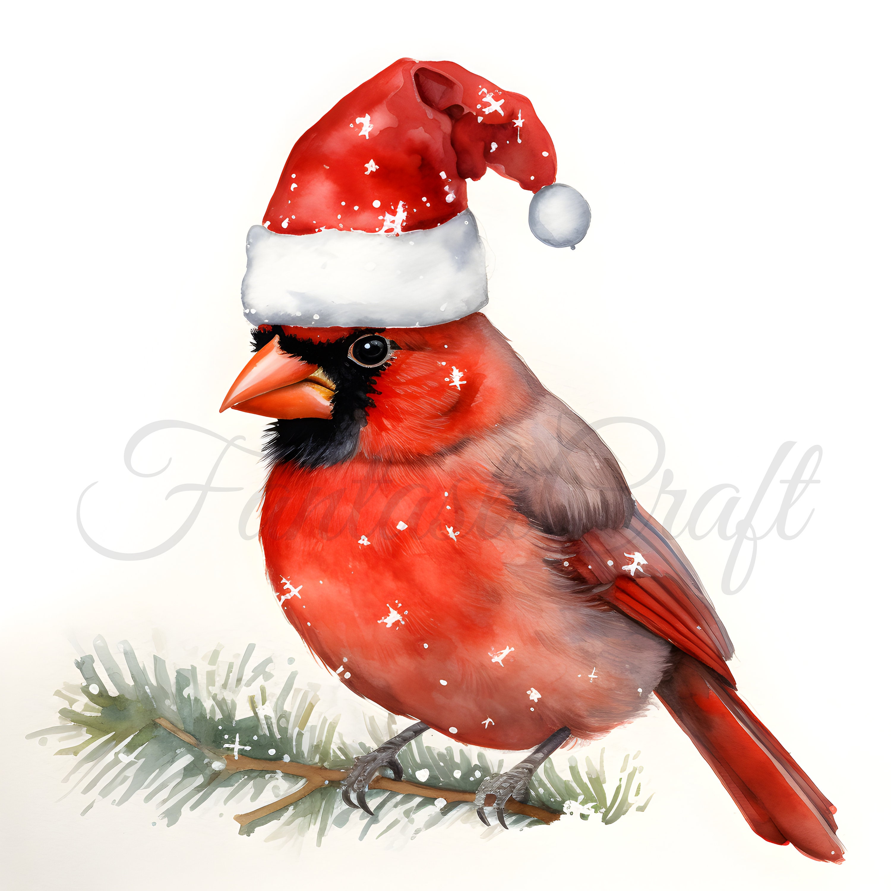 12 Cardinal Red Christmas Clipart Pack Christmas Bird JPG Digital ...