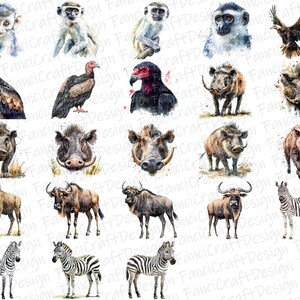 Safari African Animal Lion Tiger Monkey 172 Watercolor Style Clipart ...