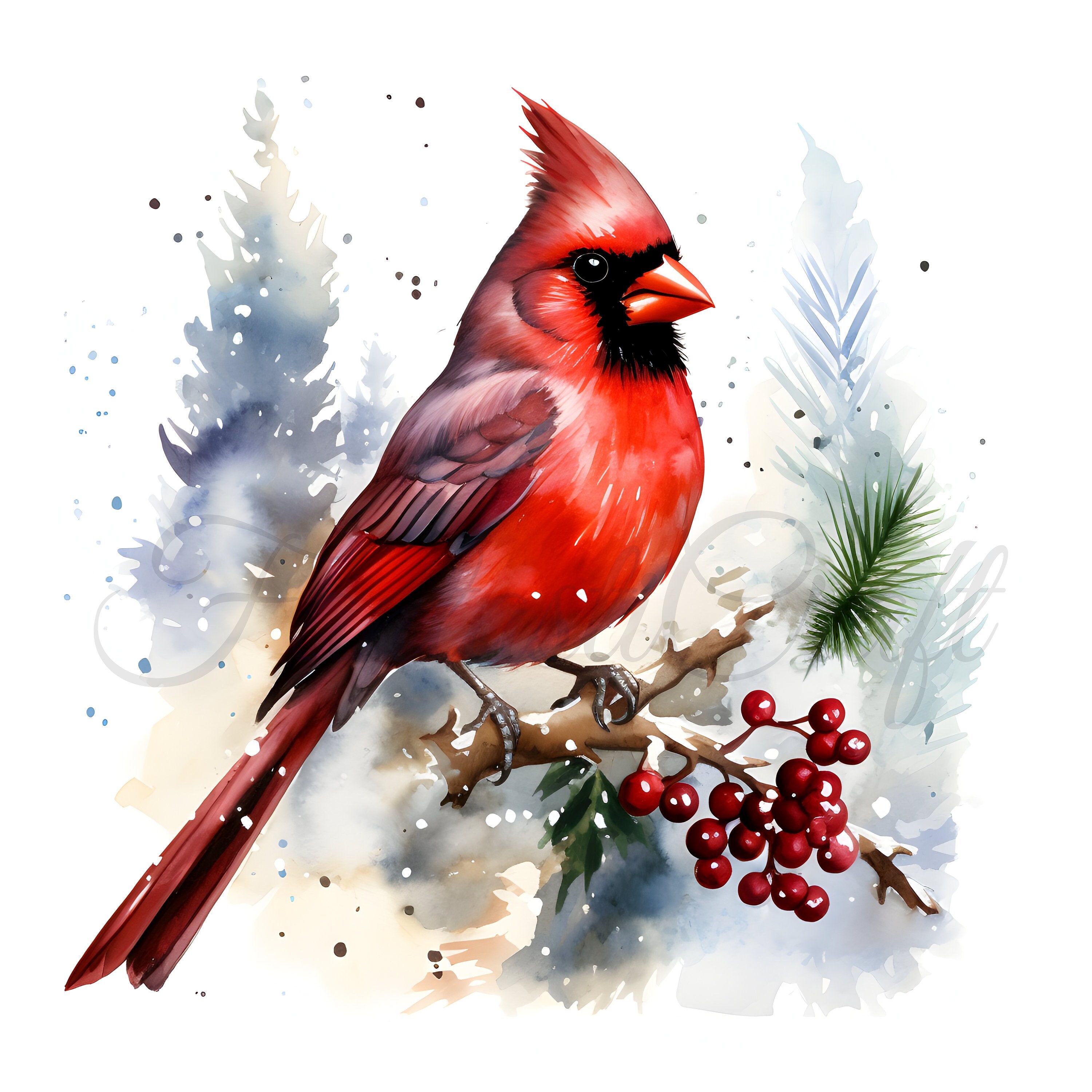 12 Cardinal Red Christmas Clipart Pack Christmas Bird JPG Digital ...