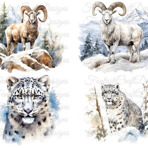 36 Winter Animals Clipart Pack Christmas Snow PNG Digital Download 300 ...