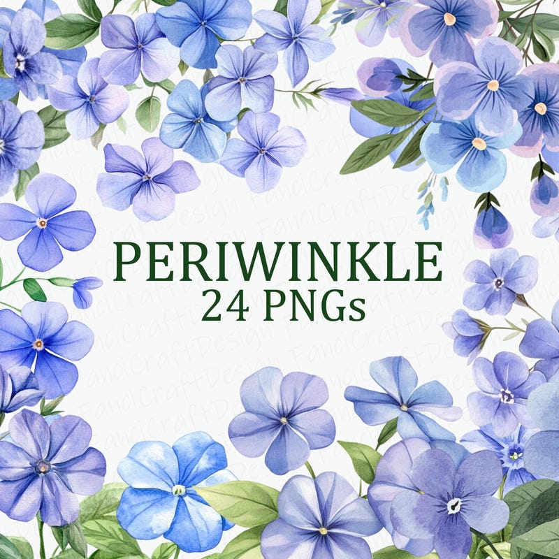 Periwinkle - Etsy